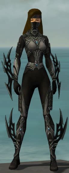 Assassin Vabbian Armor Guildwars Wiki Fandom