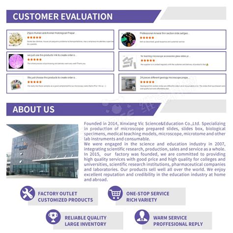 Microscope Slide Of Pathology Disease Educational Slides