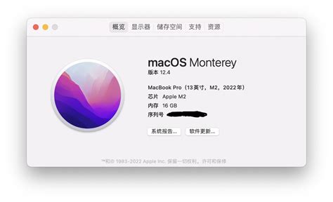 I Cant Install Sonixd In My Macos · Issue 367 · Jeffvlisonixd · Github