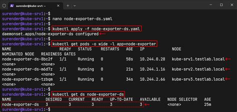 Kubernetes DaemonSets Sysops