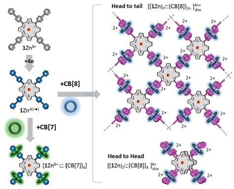Schematic Drawing Showing The Expected Binding Modes Between The Download Scientific Diagram