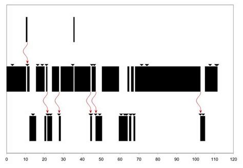 The Time Line For A Scientific Community Lab Metacognitive Statements