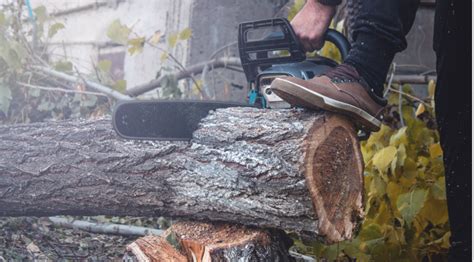 Tree Removal DFW Tree Services DFW Tree Services Dallas Ft Worth TX Tree Trimming