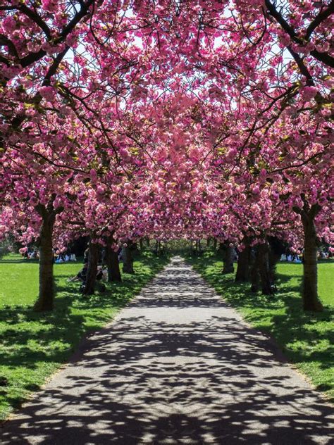 Visiting London In April All You Need To Know