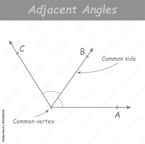 Adjacent Angles In Mathematics Two Angles With Common Vertex And Side Vector Illustration