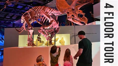 The Houston Museum Of Natural Science Youtube