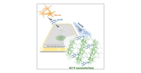 Microfluidic Biosensor Decorated With An Indium Phosphate Nanointerface For Attomolar Dopamine