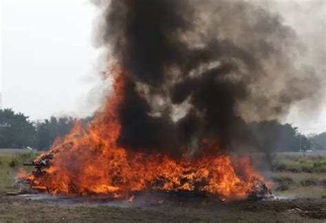 Fgr Queman 900 Kilos De Drogas Decomisadas A Narcos Línea Directa