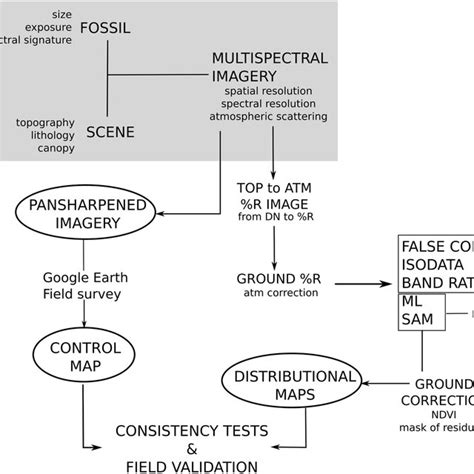 Logic Workflow Of The Analyses Explained In This Paper The Area In Logic Workflow Of The Analyses Explained In This Paper The Area In