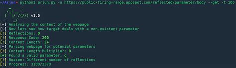 Arjun V11 Parameter Discovery Suite Pentesttools