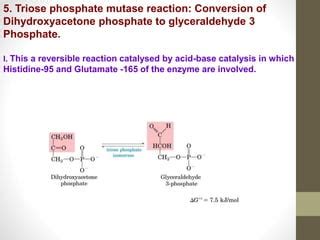 Glycolysis Ppt