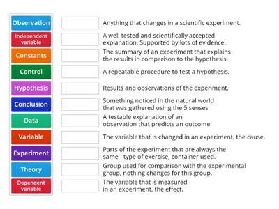 Scientific Method Game Teaching Resources