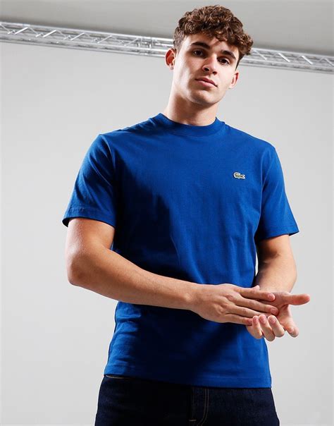 Lacoste Cotton Logo T Shirt Globe Blue Terraces Menswear