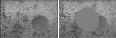 Example Of An Original Query Image And After Adding Occlusion Download Scientific Diagram