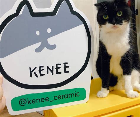 Kenee 도자기 고양이굿즈 Kenee Ceramic • Instagram Photos And Videos