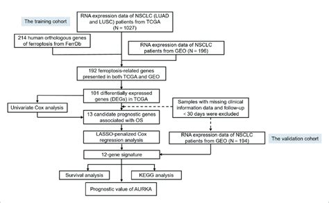 Flowchart Of The Bioinformatics Analysis Download Scientific Diagram