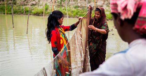 Mola And Carp Fish Farming A Winning Combination To Boost Nutrient