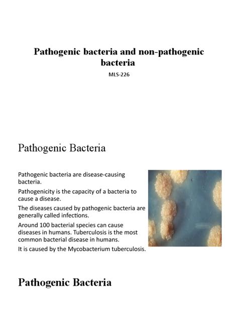 Pathogenic And Non Pathogenic Bacteria Pdf