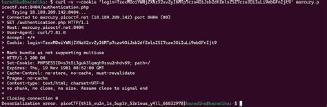 Picoctf Picker I Write Up I Start With Get In Into The Netcat By Baradika Medium