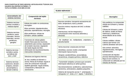 Mapa Conceptual De Tejido Nervioso Apuntes De Medicina Docsity