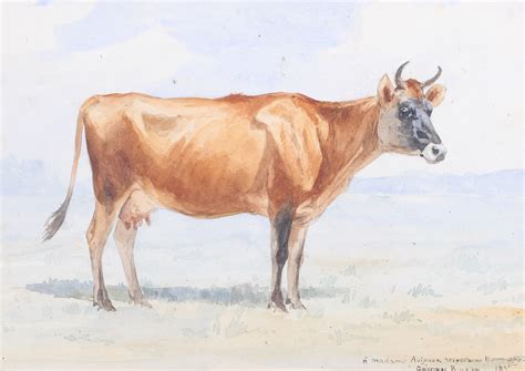 Georges Louis Charles Busson Jersey Cow 1895 Mutualart