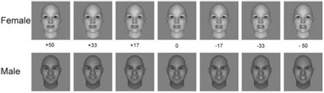 Experimental Stimuli Download Scientific Diagram