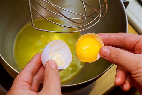 Egg Separation Procedure At Eliza Michaud Blog