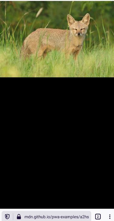 Desktop Site Instead Of Mobile Site · Issue 65925 · Webcompatweb Bugs · Github