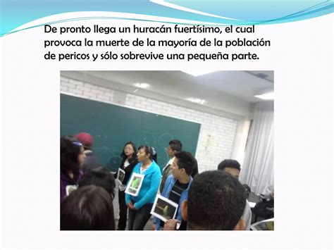 Flujo Genico Y Deriva Génica Ppt