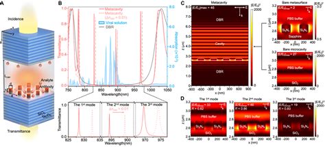 Latest Collaborative Contribution From Prof Mohamad Sawans Research
