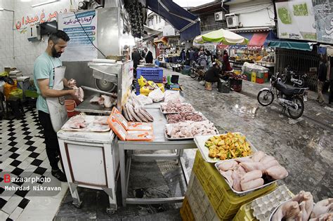 مرغ گران نمی‌شود اما گران باید خرید قیمت مصوب از دولت اصرار از