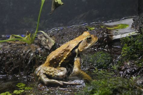 旭山動物園③ GANREF