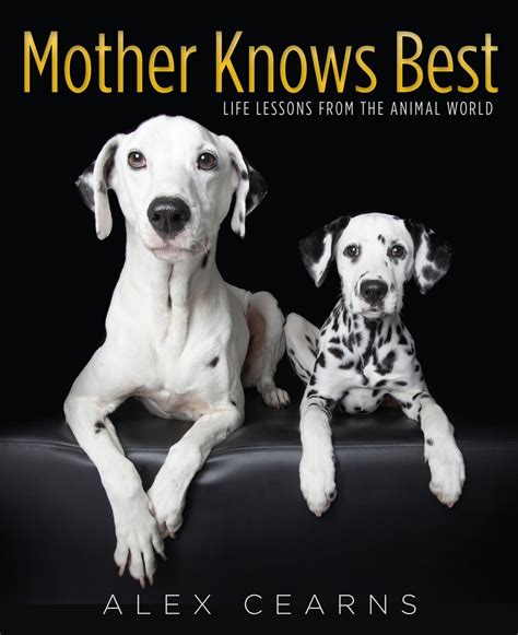 Mother Knows Best By Alex Cearns Penguin Books Australia
