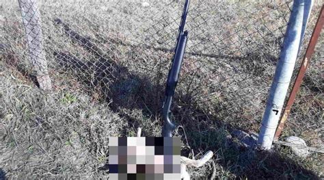 საგარეჯოში უკანონო ნადირობის ფაქტი გამოავლინეს Knews Ge