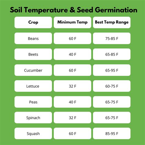 Using Soil Temperature To Decide When To Plant Northern Gardener