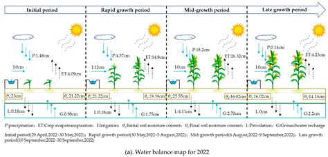 Coupled Dssat And Hydrus 1d Simulation Of The Farmland Crop Water Cycling Process In The