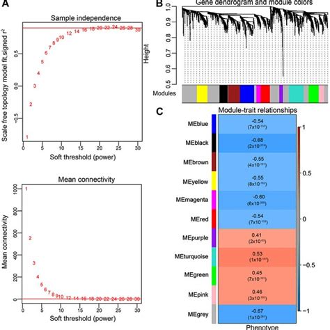Adjacency Function Parameters And Construction Of Wgcna Modules In The