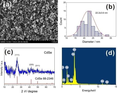 A Sem Micrograph B The Size Distribution Histogram C Xrd And Download Scientific