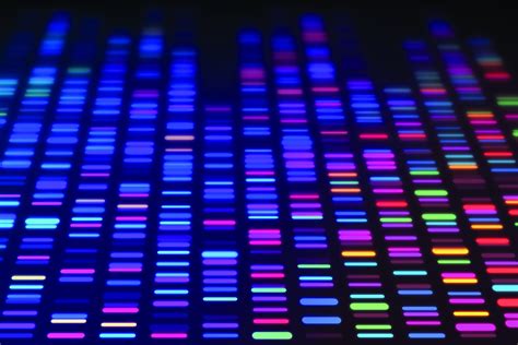 Global Genomic Sequencing Technologies Market 281 Billion By 2033