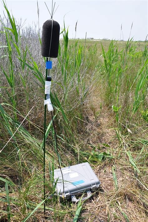 Background Noise Measurement Acoustic Analytics