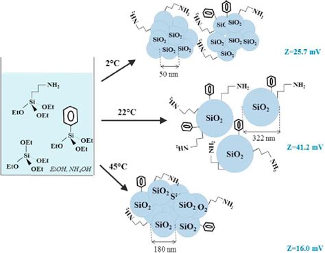 Schematic Representation Of The Effect Of Temperature On The Size And Download Scientific