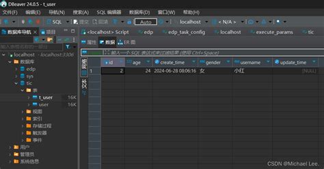 Idea Springboot整合springdata Jpa（保姆级教程，超详细！！！）idea Jpa Csdn博客