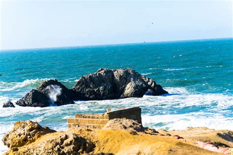 랜 즈 엔드에 샌 프란 시스 코 샌 프란 시스 코보기 여름 구름 바위 바다 식물 0명에 대한 스톡 사진 및 기타 이미지 0명