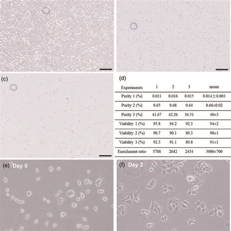 Time Lapsed Microscopic Image Showing The Process Of Sorting One Single Download Scientific