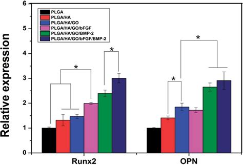 The Qrt Pcr Analysis For Runx2 And Opn Expression In Mc3t3 E1 Cells Download Scientific Diagram