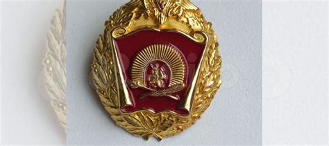 Значок учащегося в сву купить в Москве с доставкой | Хобби и отдых | Авито