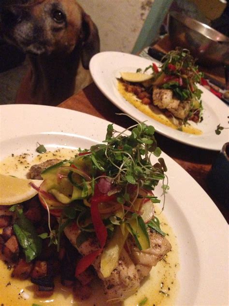 Sumac Marinated Snapper Fillets With Saffron Pickled Daikon And Cucumber Ribbon Salad