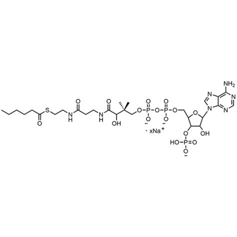 Hexanoyl Coenzyme A Sodium Salt Coenza