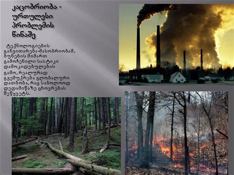 გლობალური დათბობა