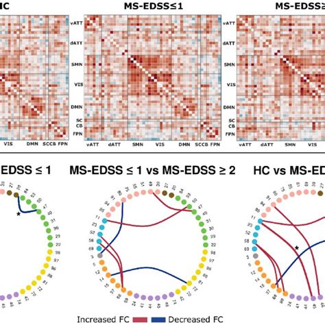 Whole Brain Static Functional Connectivity Matrices And Between Group Download Scientific